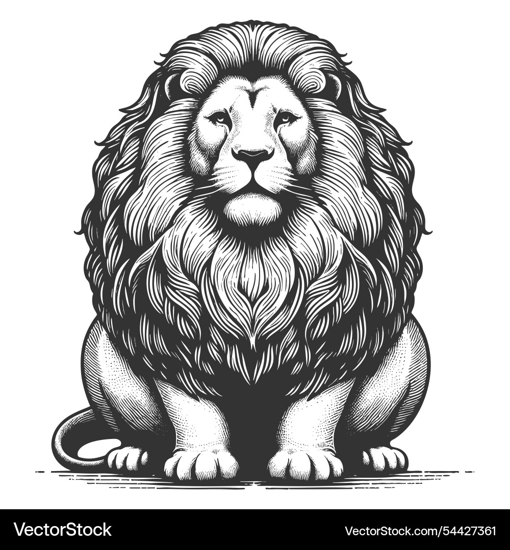 Chubby lion engraving sketch Royalty Free Vector Image