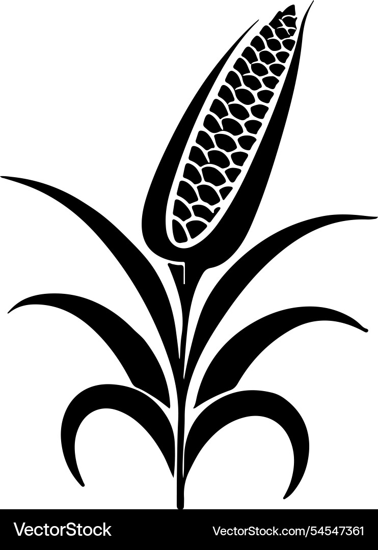 Corn silhouette art Royalty Free Vector Image - VectorStock