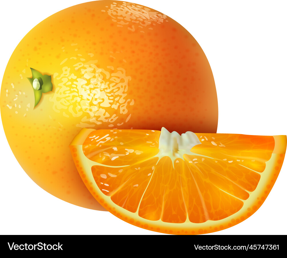 Realistic orange fruit composition Royalty Free Vector Image