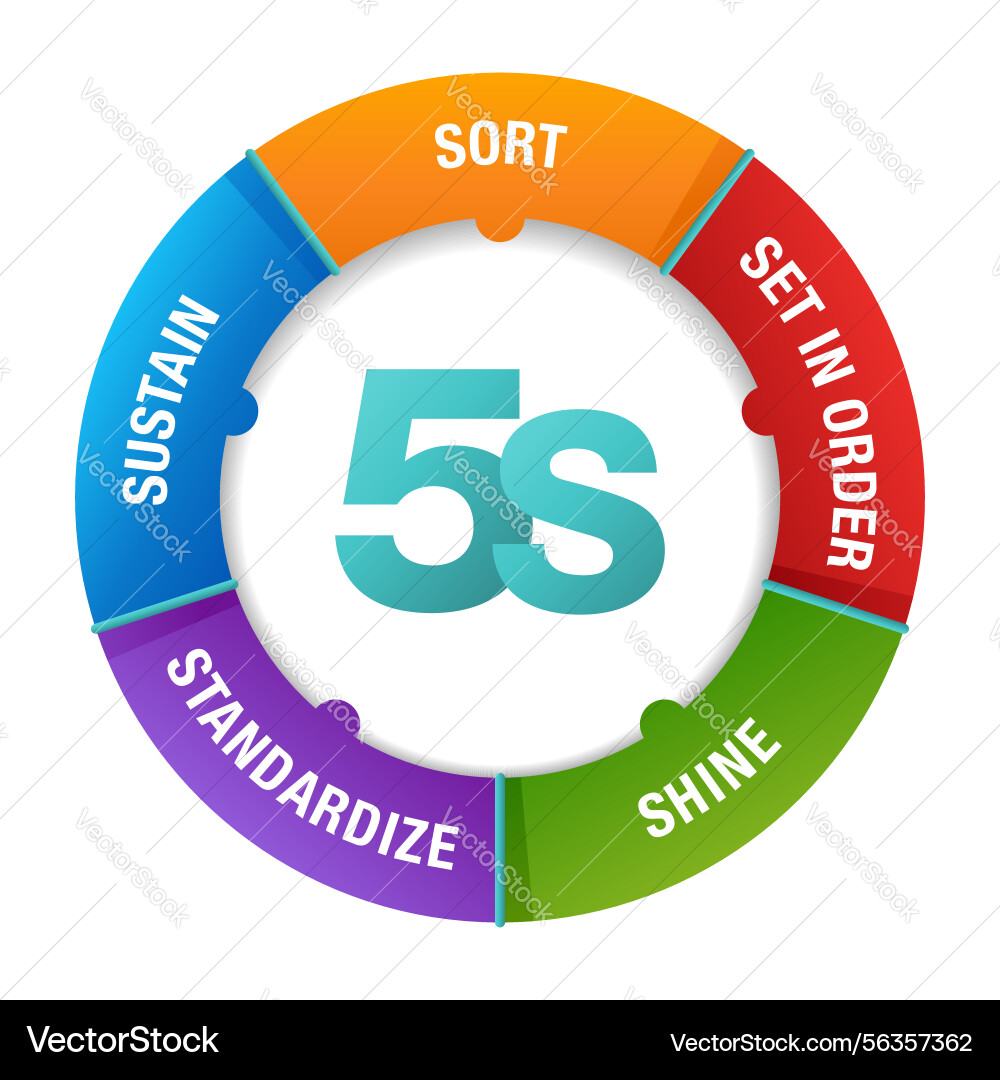 5s workplace organization circular diagram Vector Image