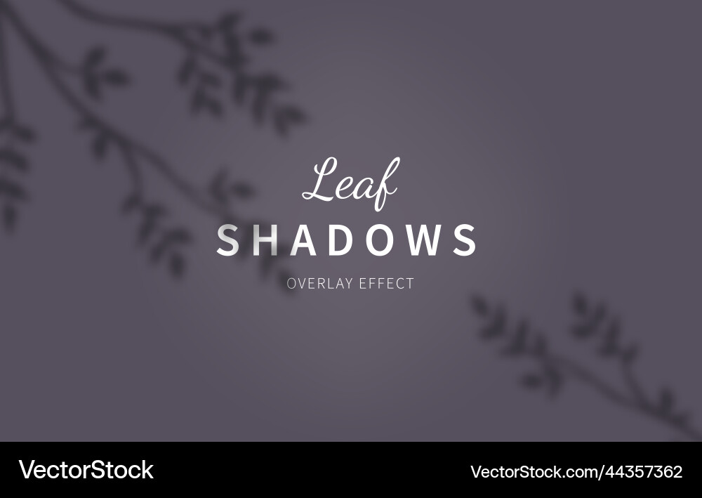 Plant leaf shadow background flowers and leaves Vector Image