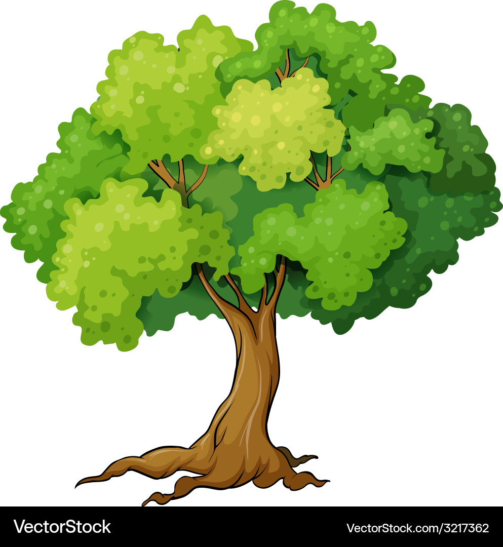 Tree Royalty Free Vector Image - VectorStock