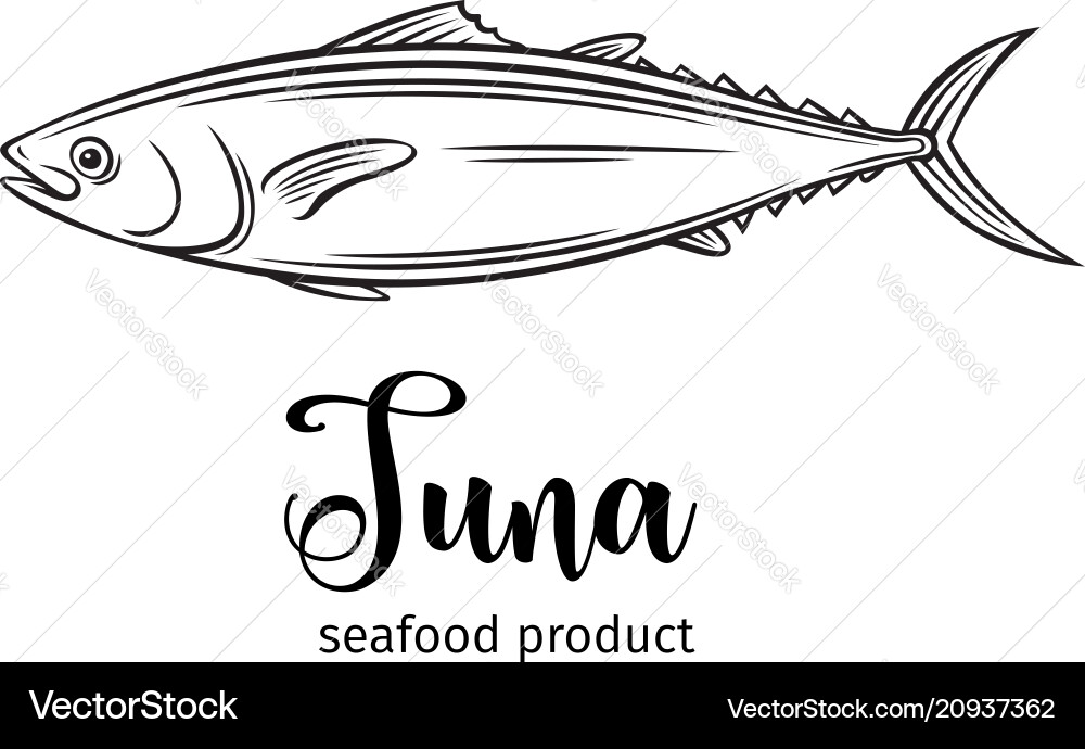 Tuna Royalty Free Vector Image - VectorStock
