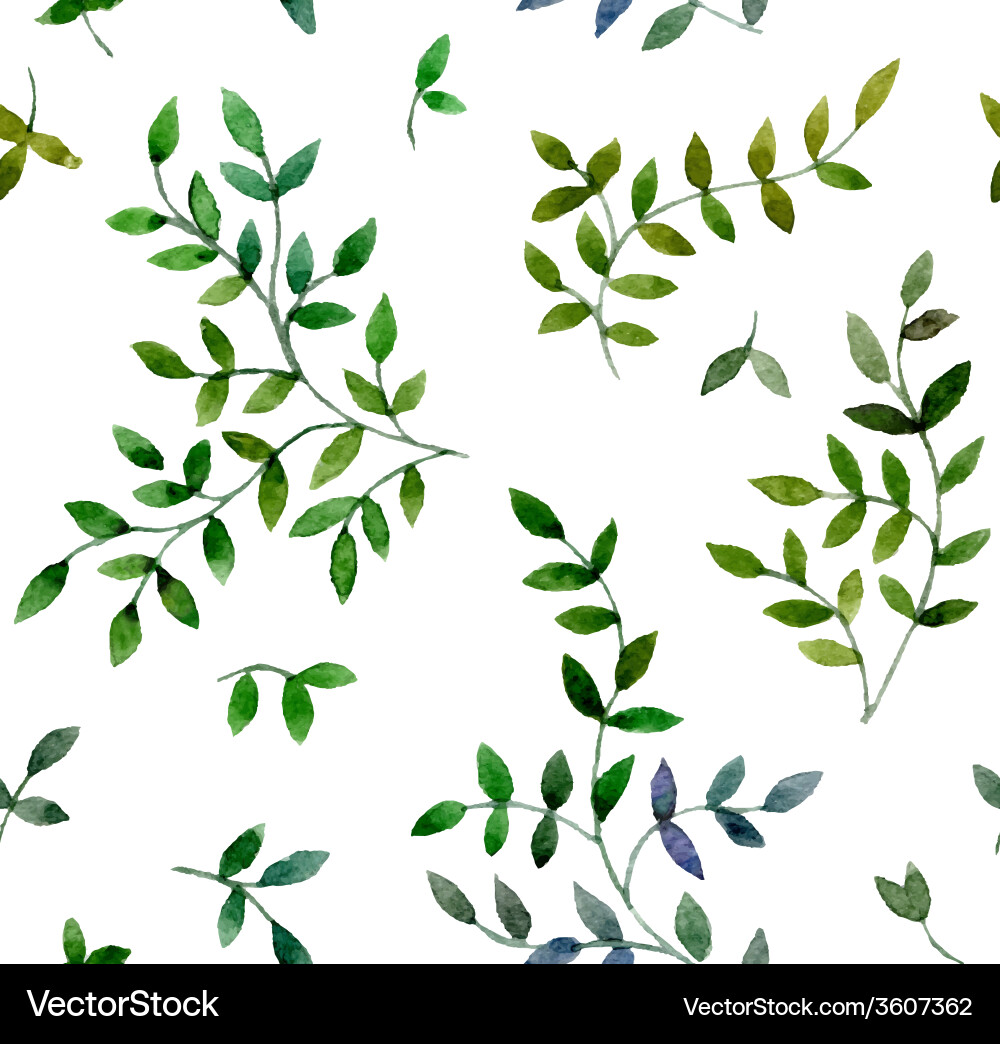 Watercolor Floral Pattern Royalty Free Vector Image