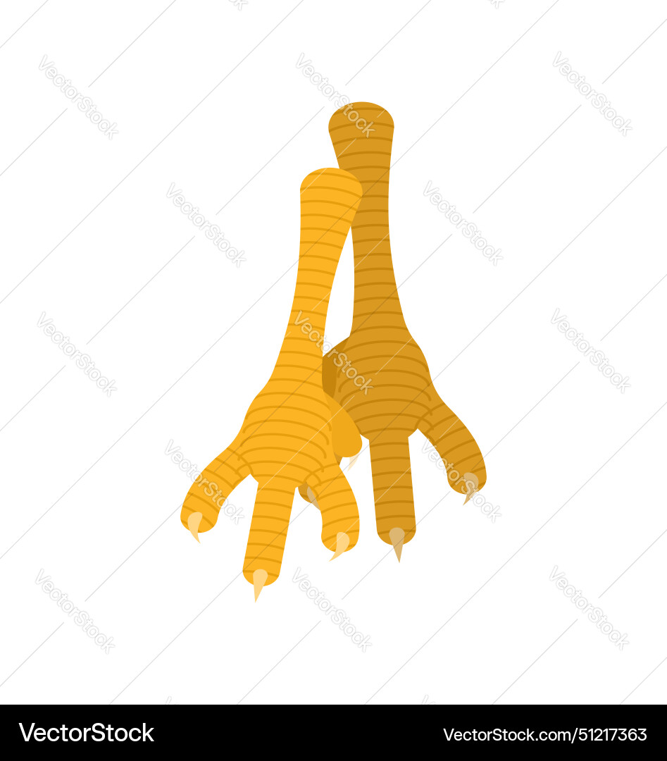 Chicken feet isolated ingredient for making Vector Image