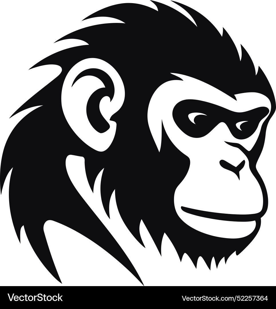 Gorilla and monkey shadows embrace Royalty Free Vector Image
