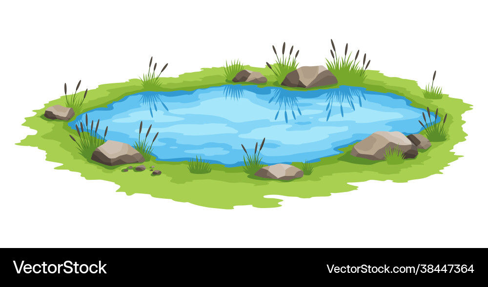 Serene Natural Pond Scene Royalty Free Vector Image