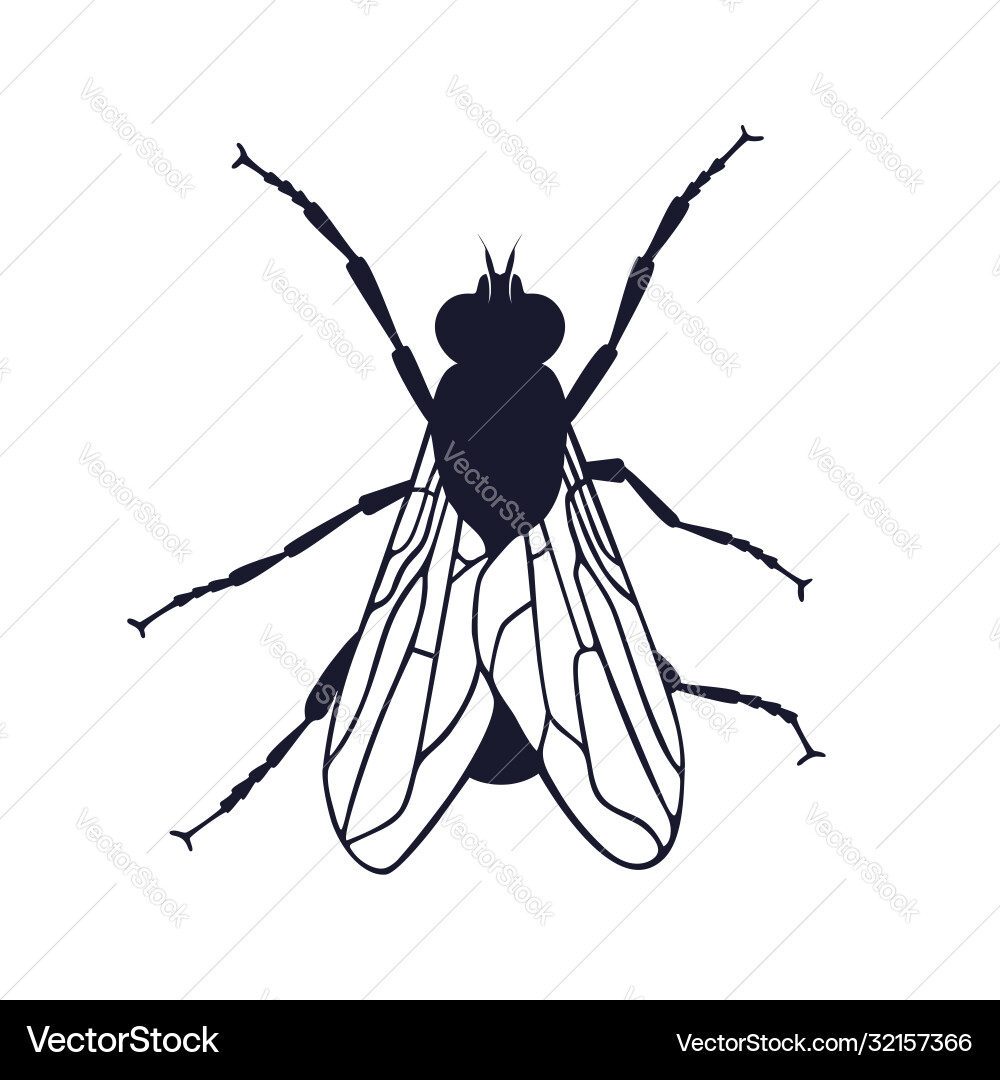 Fly sign Royalty Free Vector Image - VectorStock