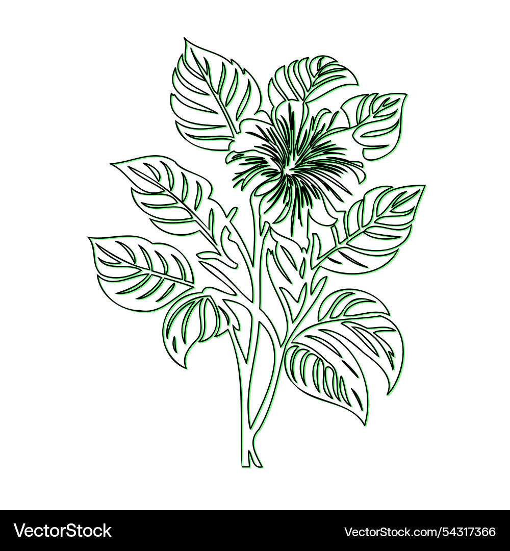 Line art tropical flower with leaves Royalty Free Vector