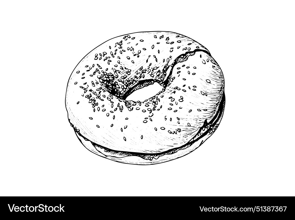 Bagel sketch in american style hand drawn Vector Image