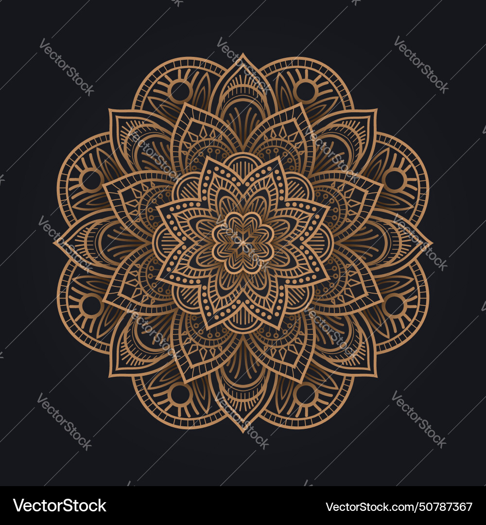 Circular pattern of mandala golden arabesque Vector Image