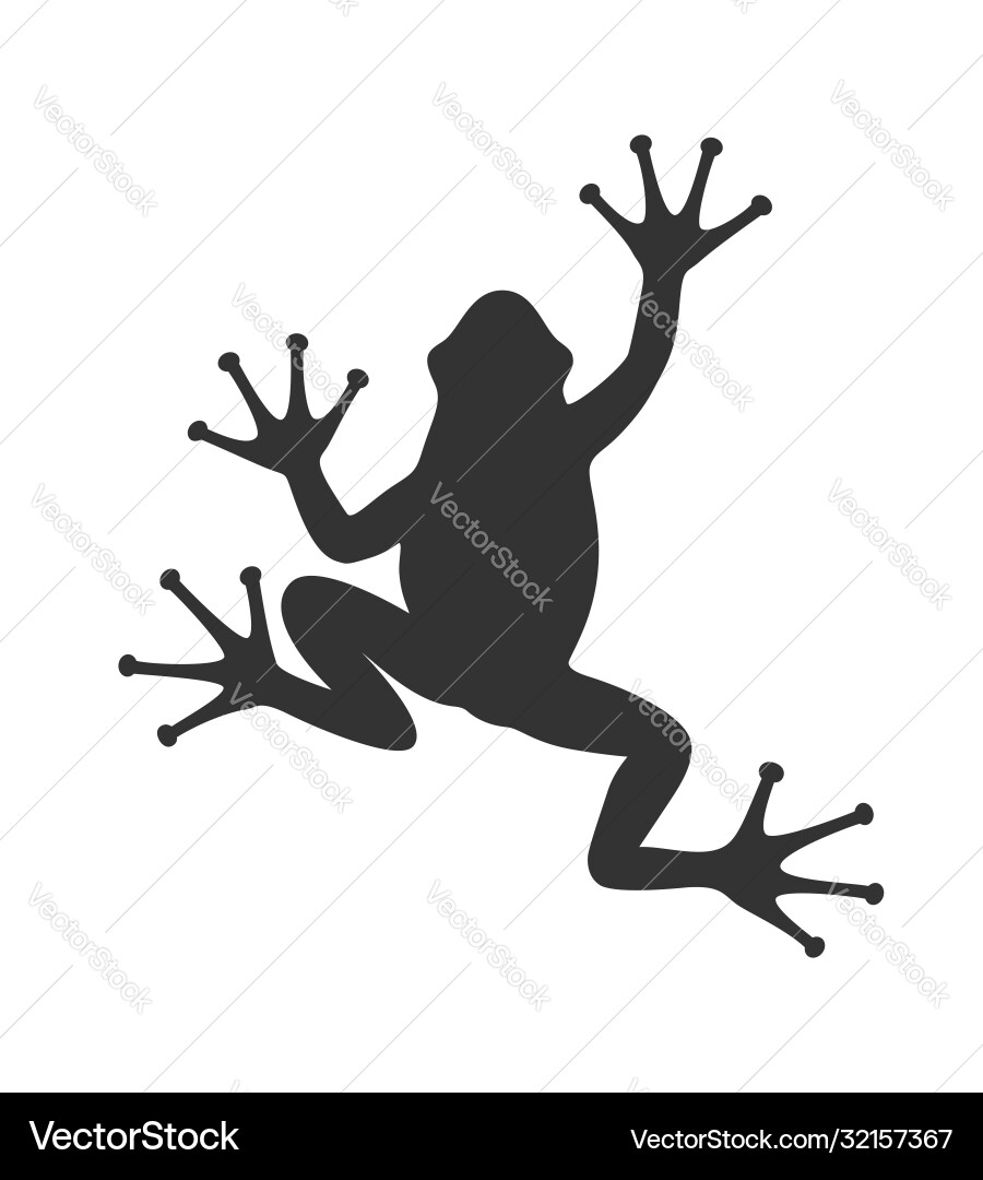 Abstract Frog Vector Images (over 2,900)