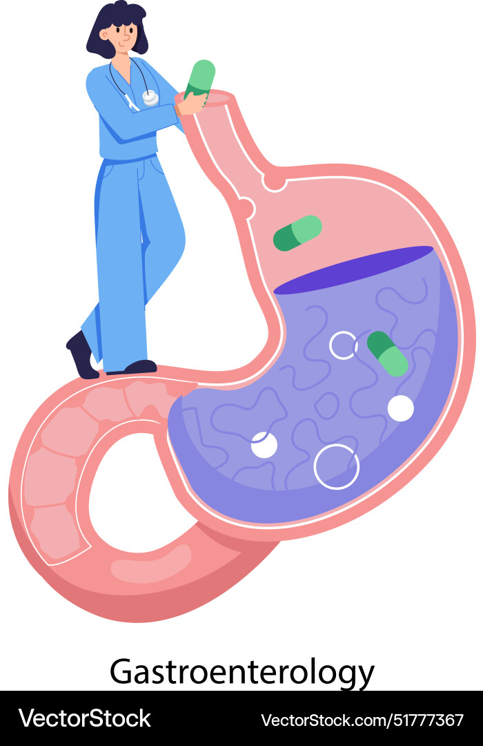 Gastroenterology Royalty Free Vector Image - VectorStock