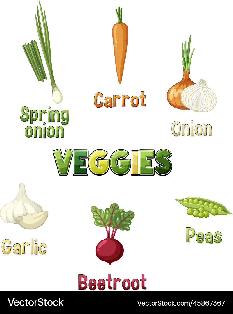 Root vegetables set on white background Royalty Free Vector