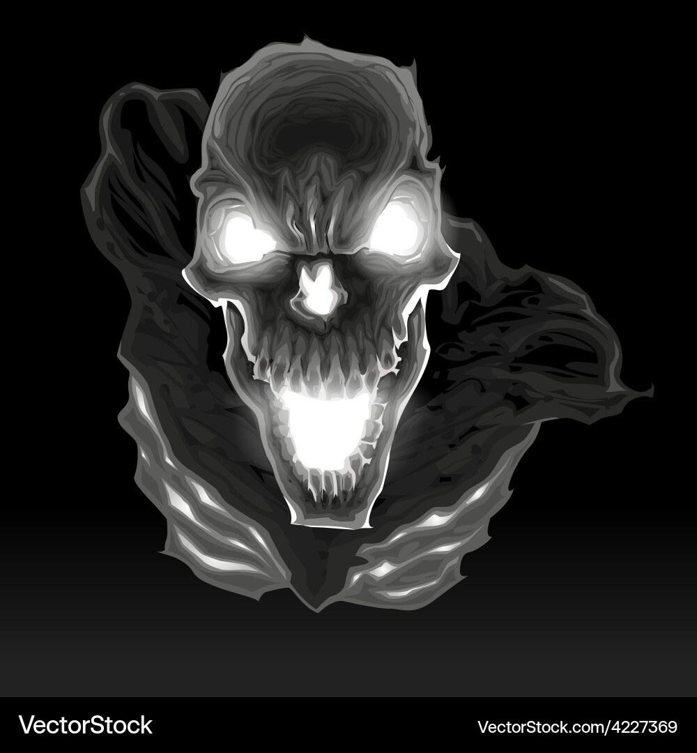 Black skeleton in the dark Royalty Free Vector Image