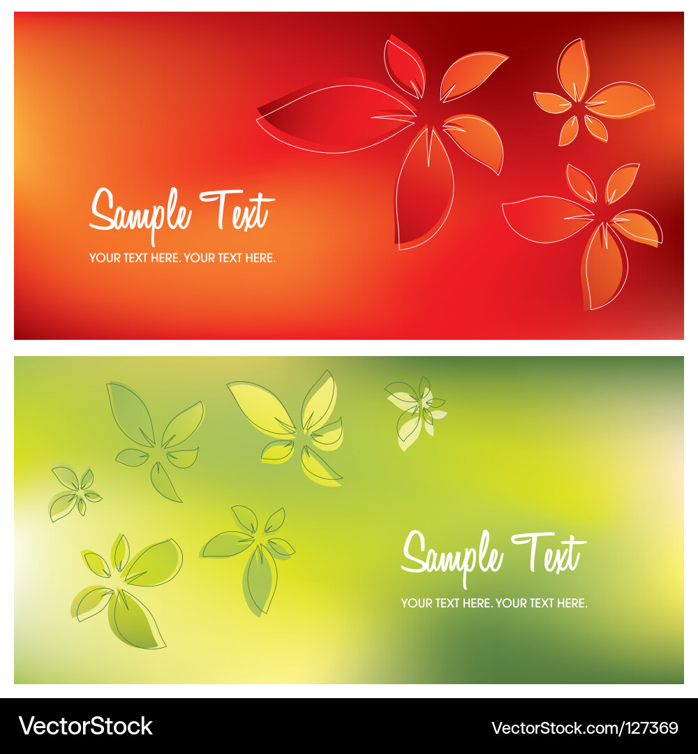 Floral card backgrounds Royalty Free Vector Image