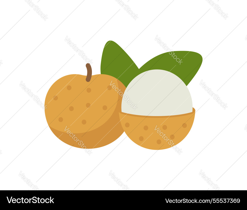 Longan for coloring book template kids Royalty Free Vector