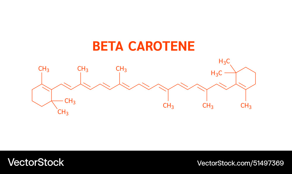 Molecular structure beta carotene orange Vector Image