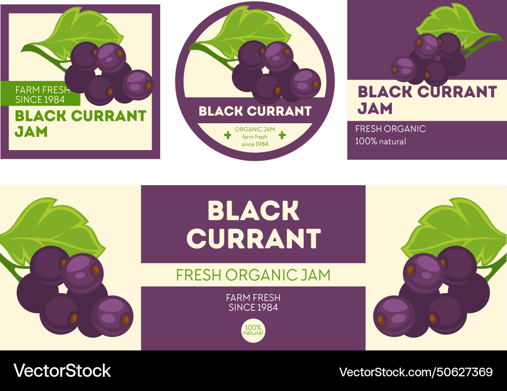 Organic black currant jam label Royalty Free Vector Image