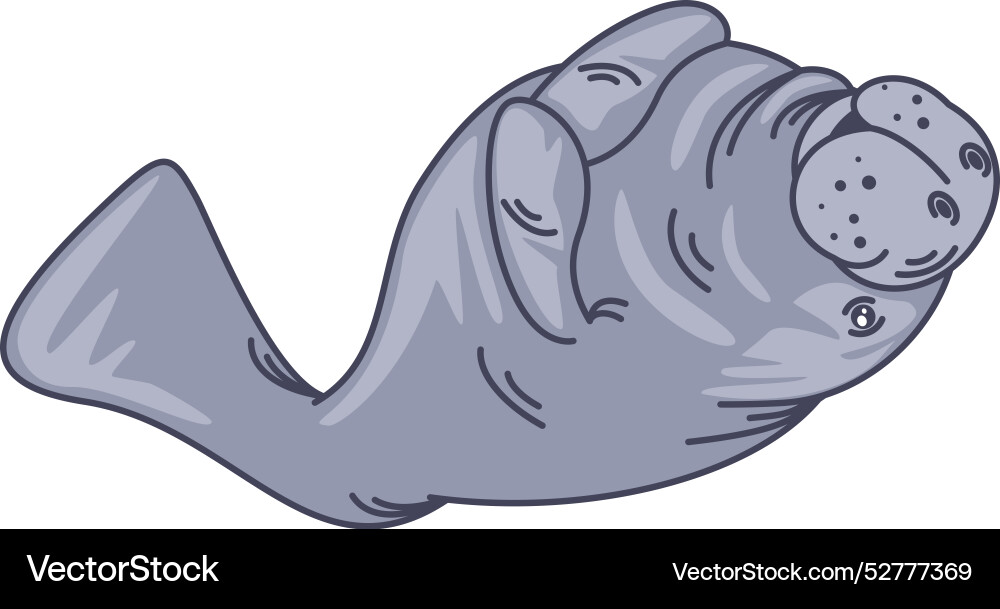 Sea cow playing under the water Royalty Free Vector Image