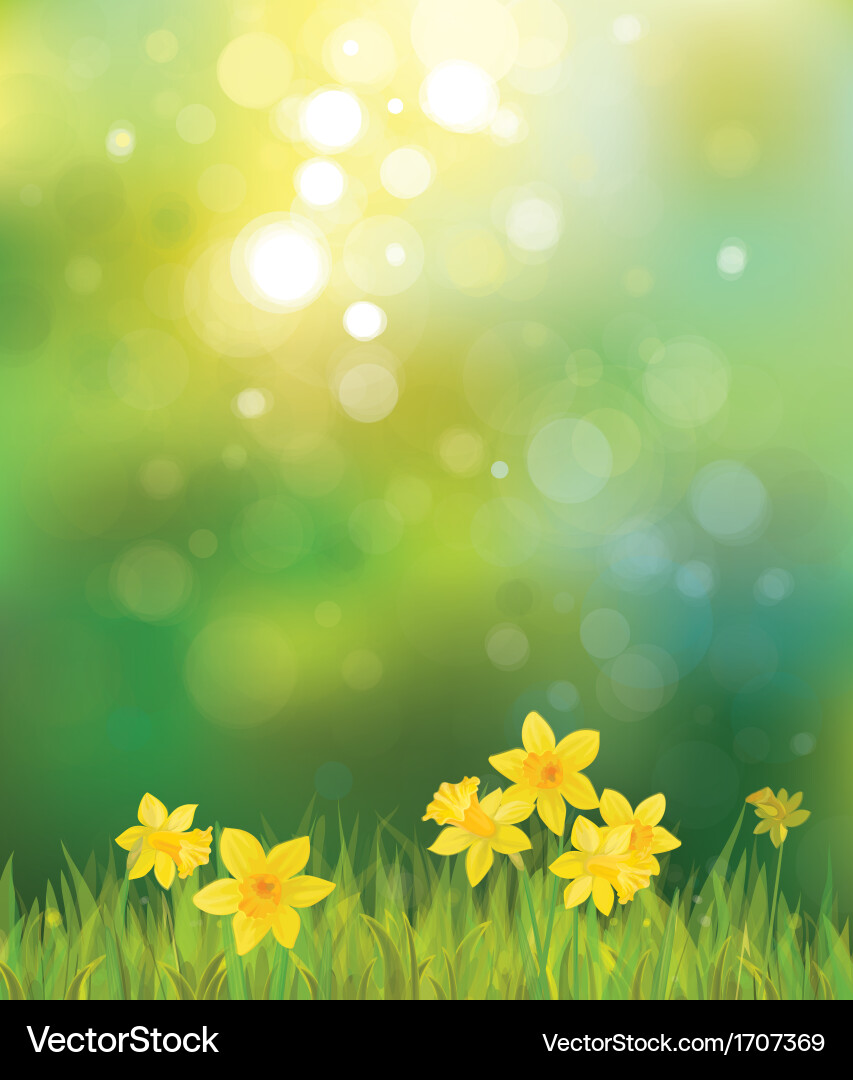 Spring Flowers Background Royalty Free Vector Image