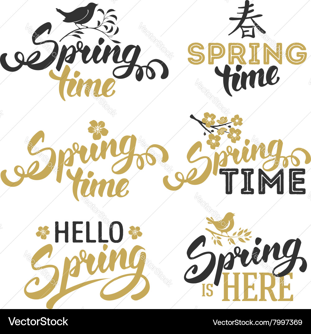 Spring overlays Royalty Free Vector Image - VectorStock
