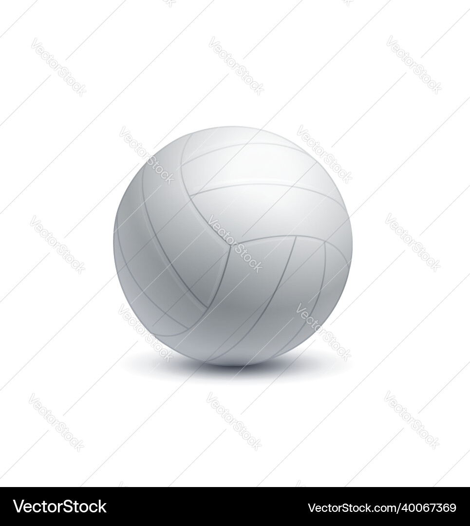 White Volleyball Royalty Free Vector Image - VectorStock