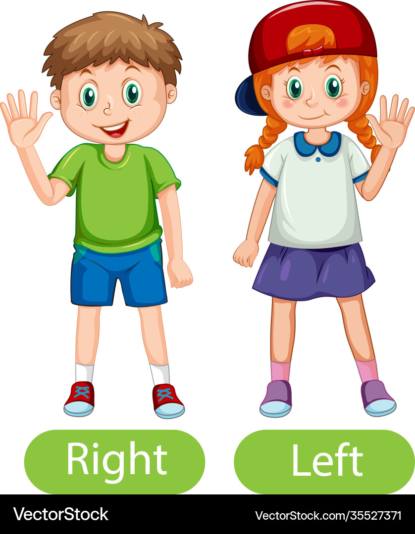 Opposite words with right and left Royalty Free Vector Image