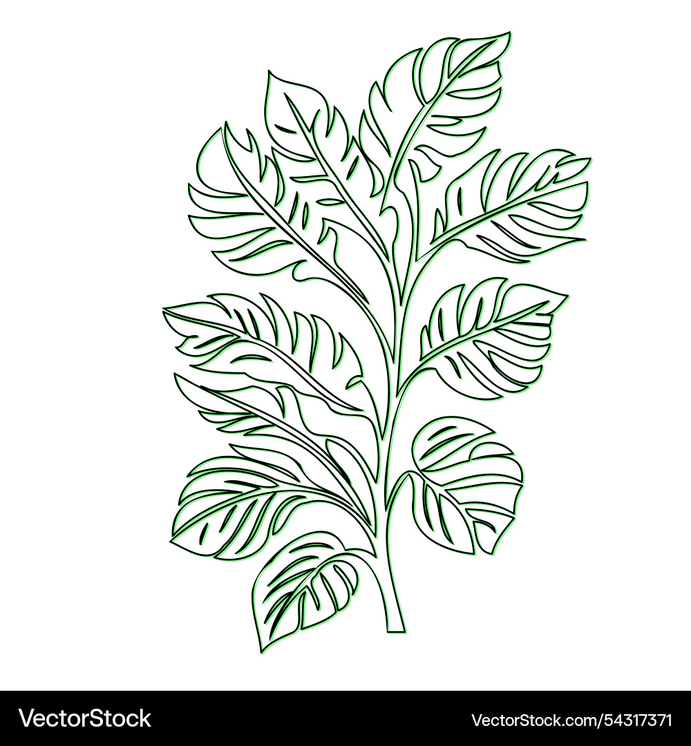 Tropical leaf line art Royalty Free Vector Image