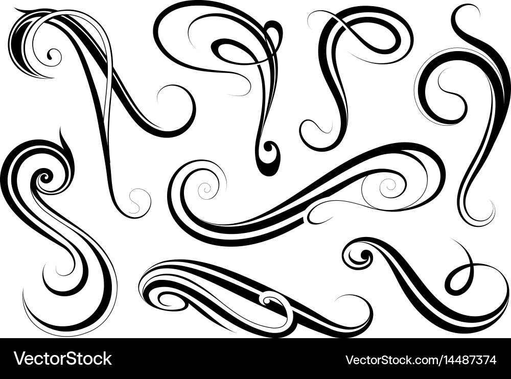 Elegant Calligraphic Swirls Royalty Free Vector Image