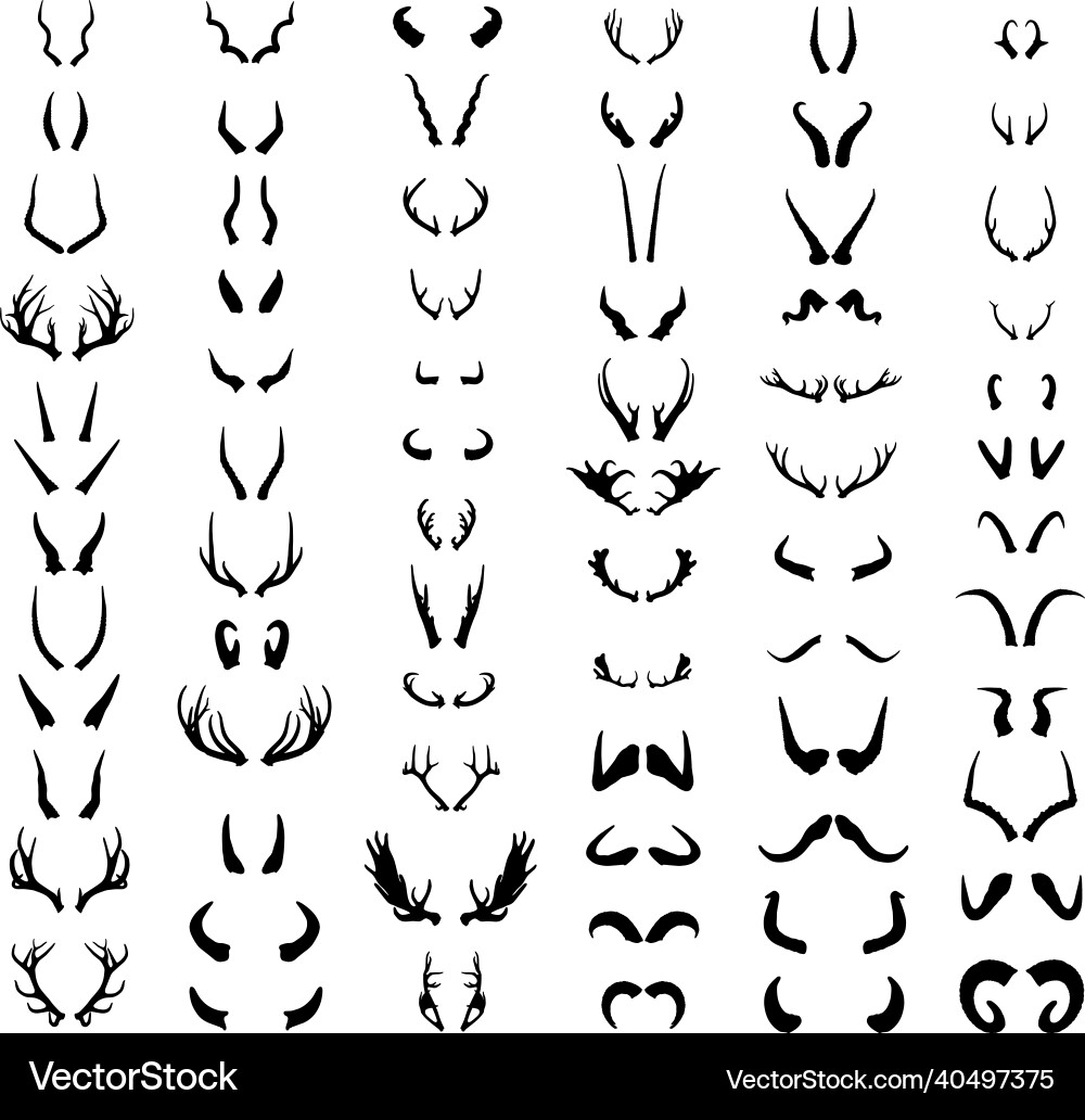 Collection of horns Royalty Free Vector Image - VectorStock