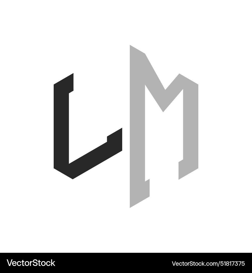 Modern unique hexagon letter lm logo design Vector Image