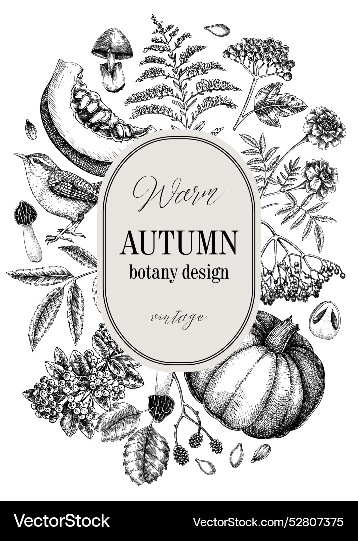 Vintage autumn card design thanksgiving Royalty Free Vector