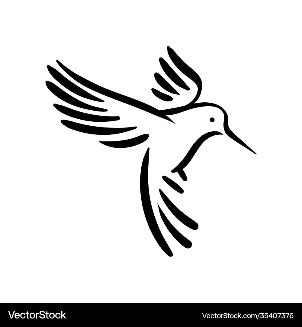 Elegant Hummingbird Line Art Logo Royalty Free Vector Image