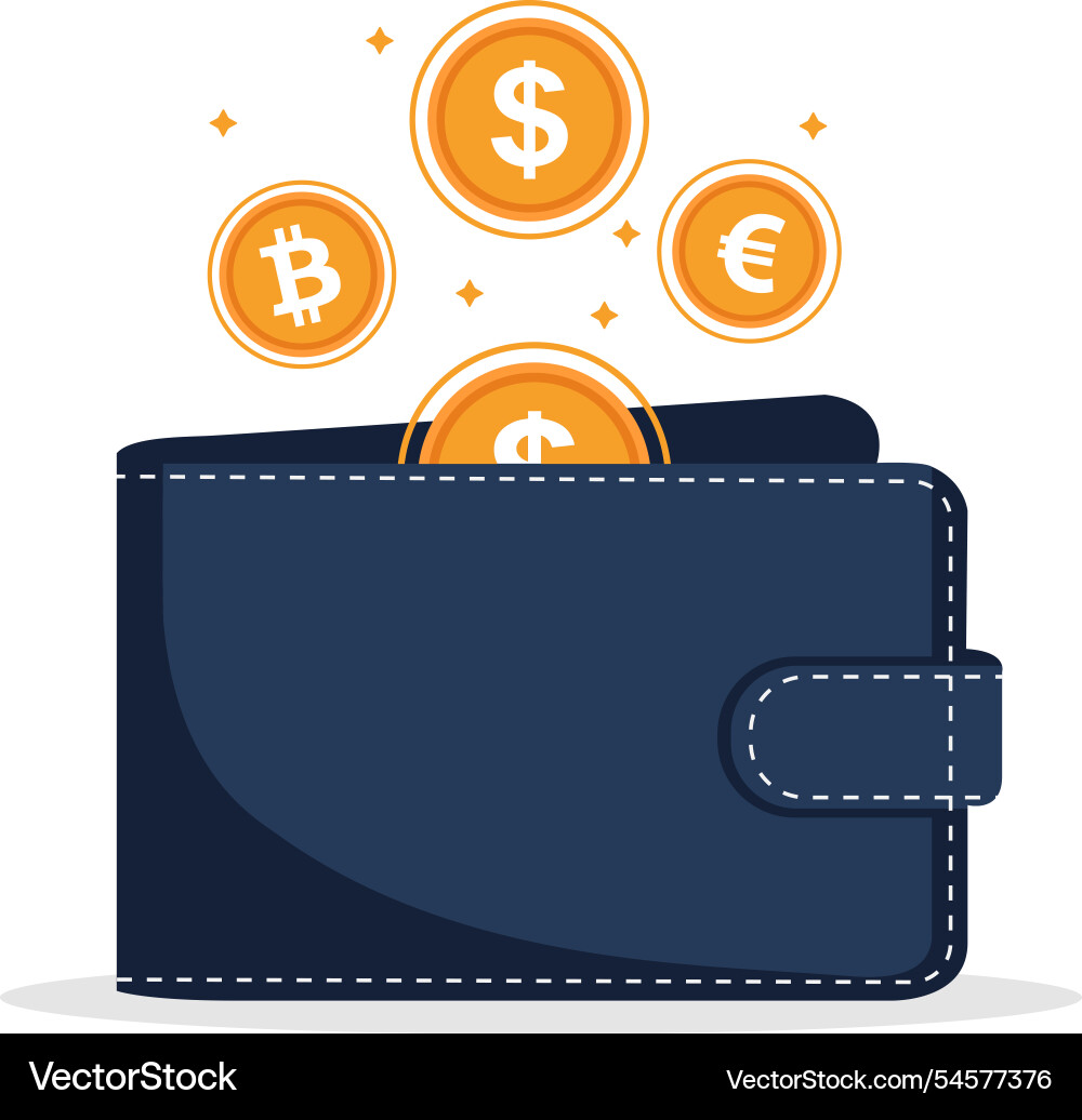Modern finance and crypto wallet graphic Vector Image