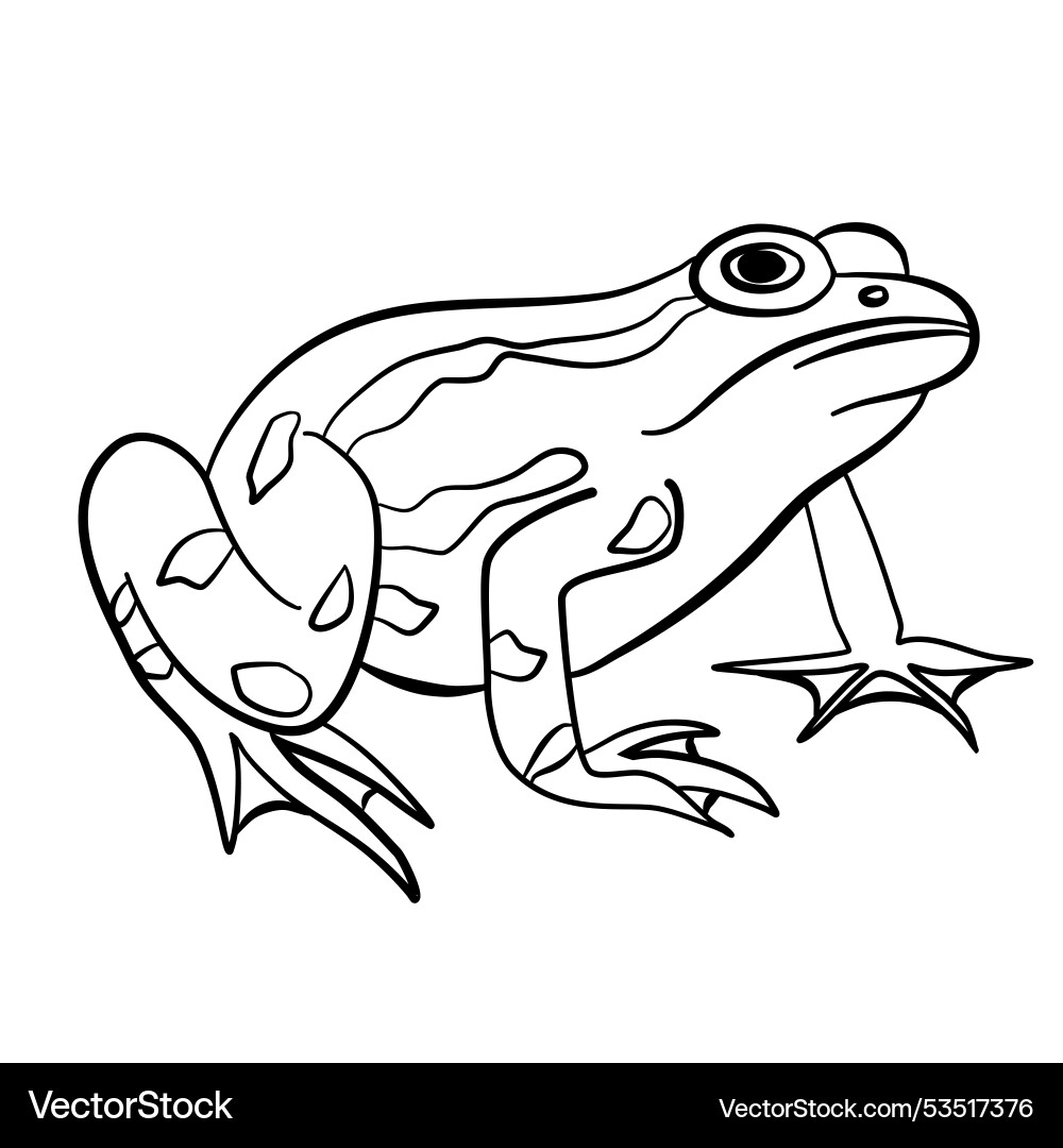 Realistic frog outline flat Royalty Free Vector Image