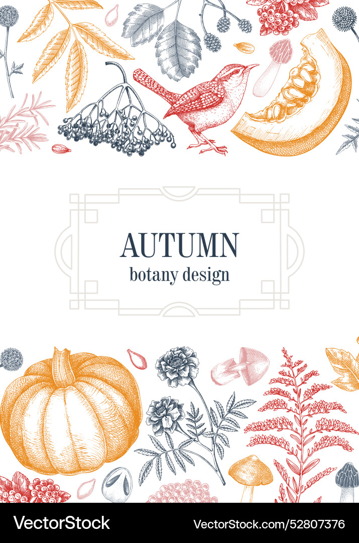 Vintage autumn frame design thanksgiving Vector Image