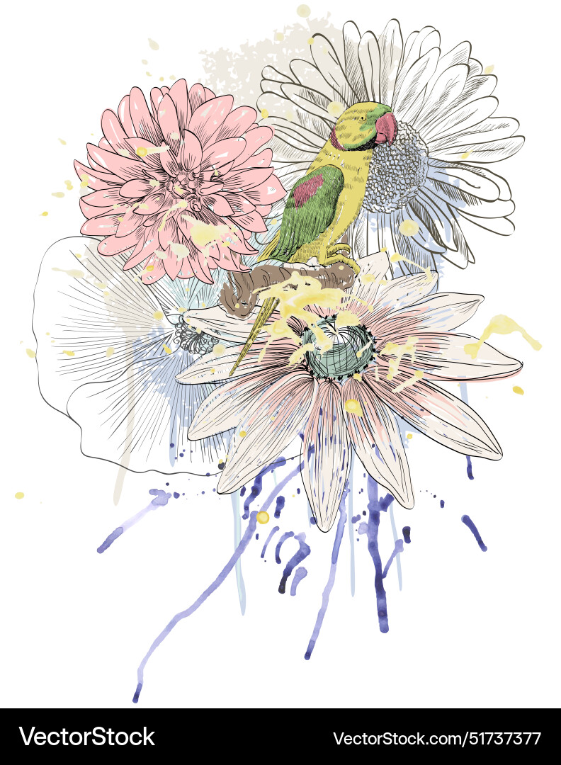 Parrot Royalty Free Vector Image - VectorStock