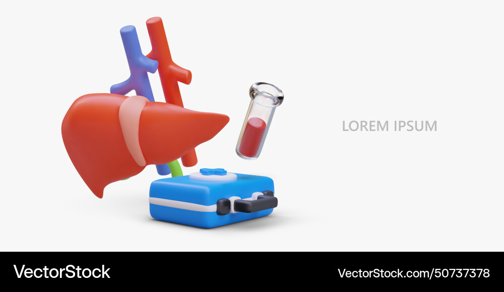 3d realistic liver medical kit and flask Vector Image