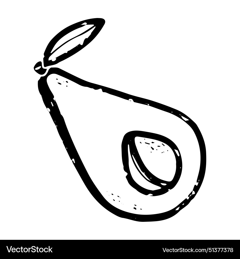 Avocado line art doodle texture outline hand Vector Image
