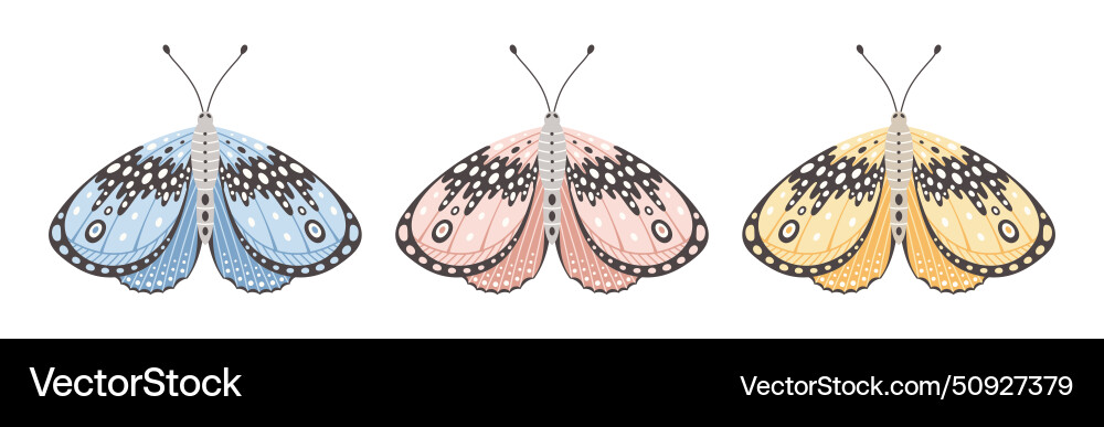 Set of one butterfly or moth shape in three Vector Image