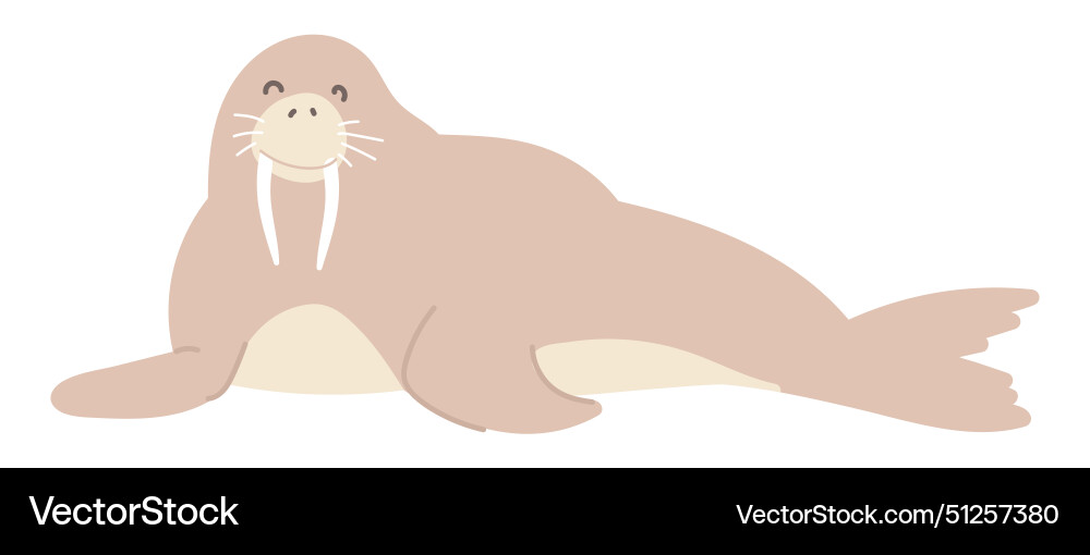 Cute walrus in flat design happy wildlife arctic Vector Image