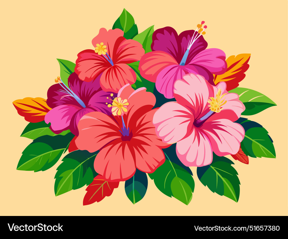 Hibiscus flower bunch Royalty Free Vector Image