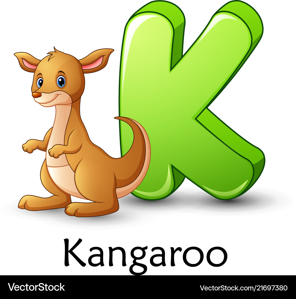 Letter K Kangaroo Alphabet Cartoon Royalty Free Vector Image