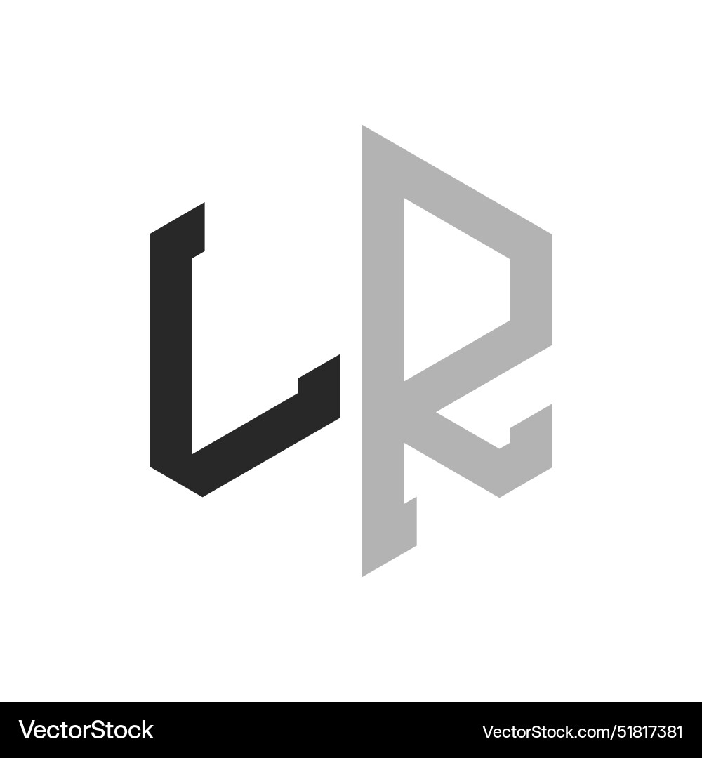 Modern unique hexagon letter lr logo design Vector Image