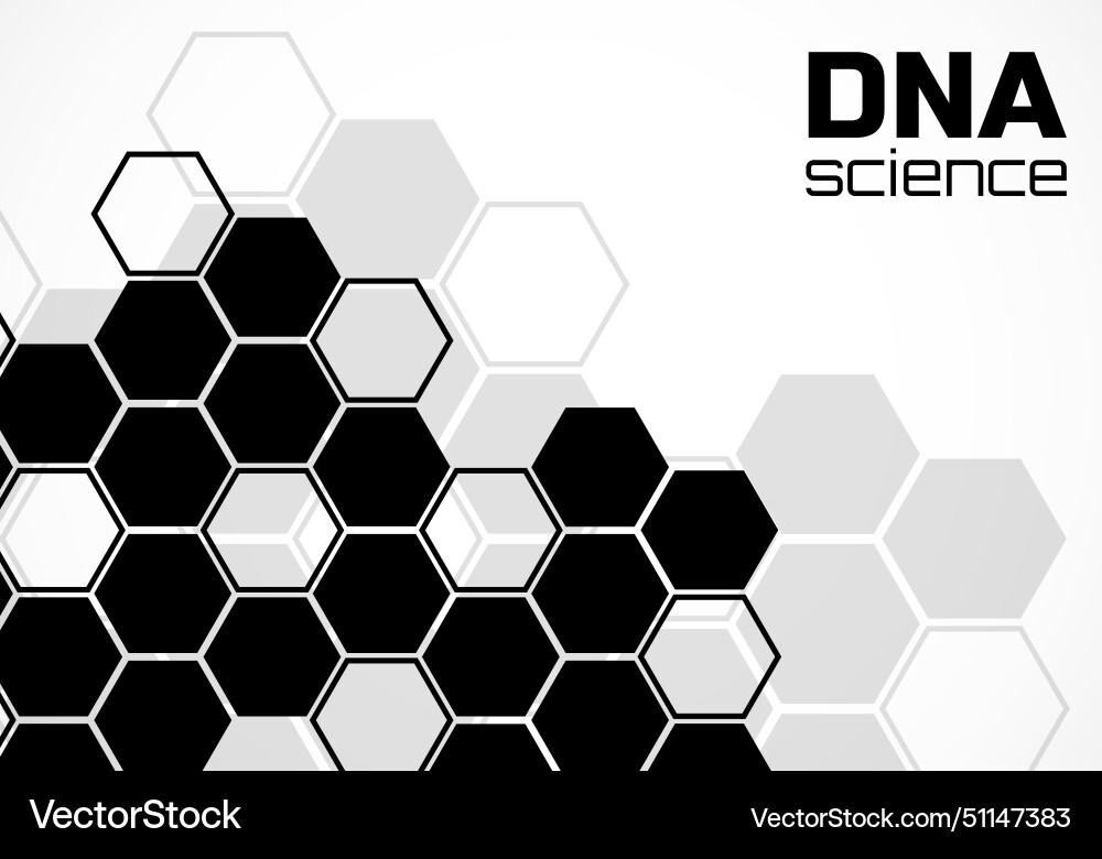Abstract background of hexagonal cells molecular Vector Image