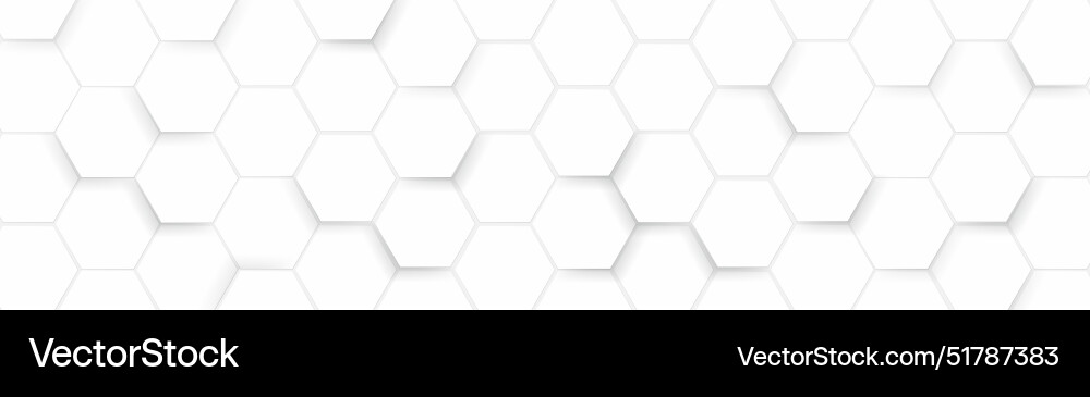 Abstract white hexagon geometric pattern Vector Image
