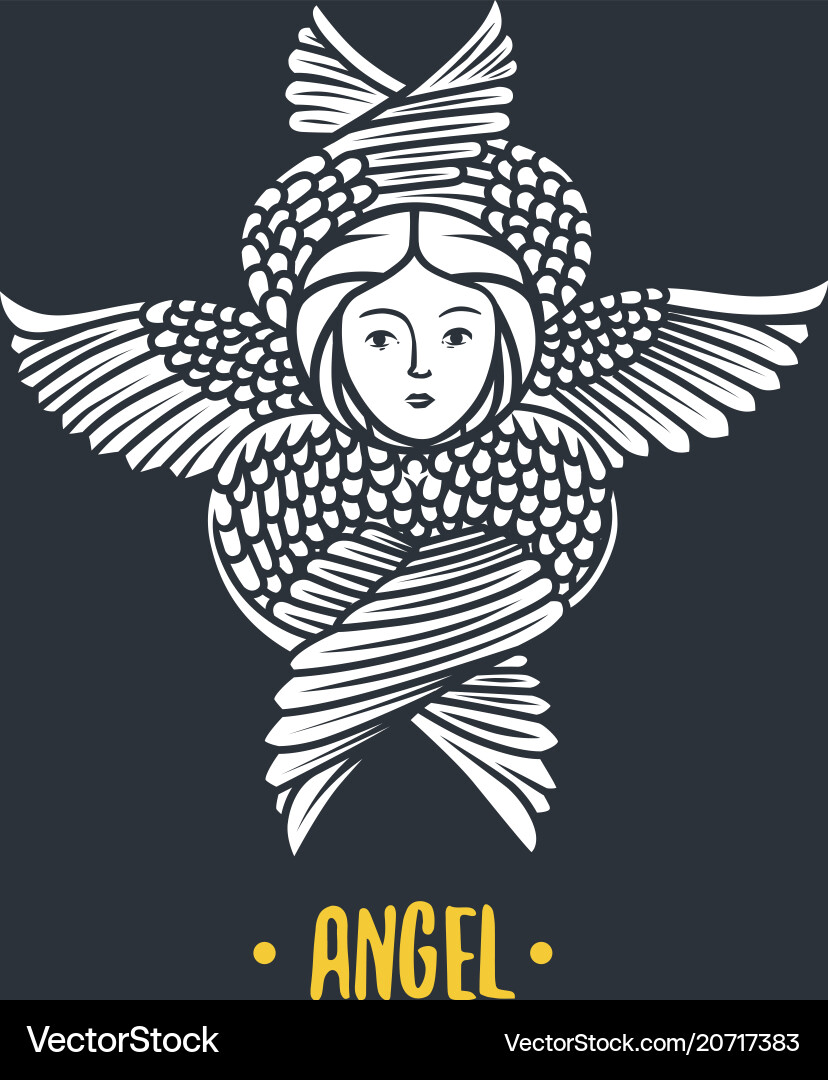 Celestial Angel Wings Royalty Free Vector Image