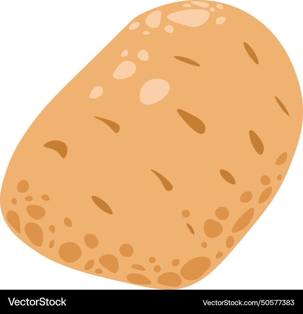 Organic vegetables from farm natural potato Vector Image