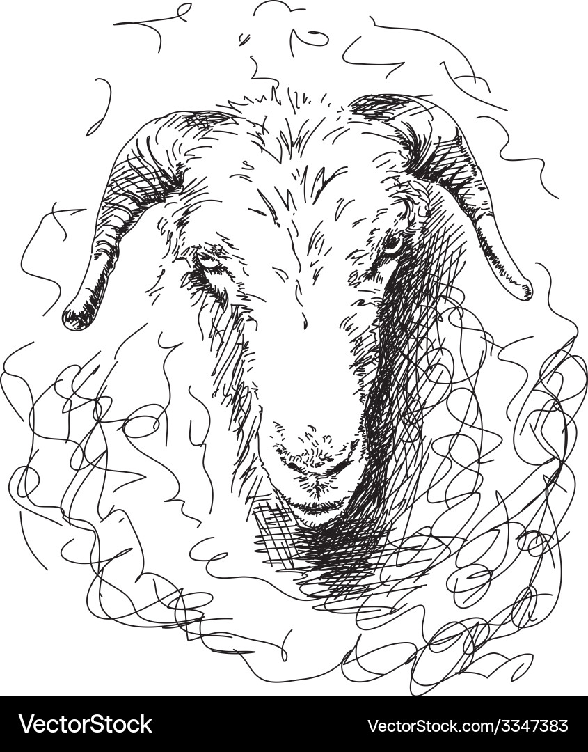 Sheep Royalty Free Vector Image - VectorStock